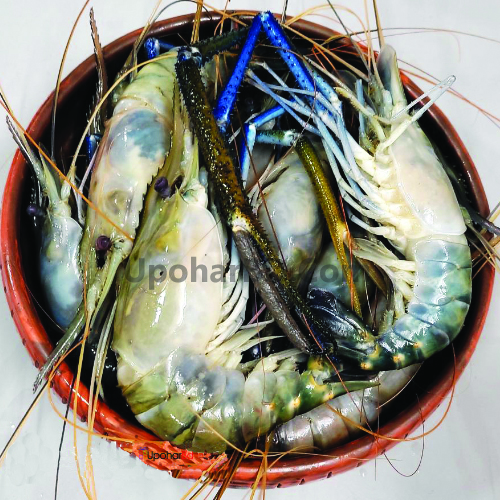 Order fresh fish online - Golda Chingri (Large size 6-8 in a kg ...